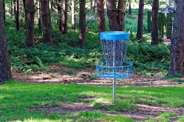 Discgolf - jak se hraje, jaká má pravidla a vybavení? - Ogolfu.cz
